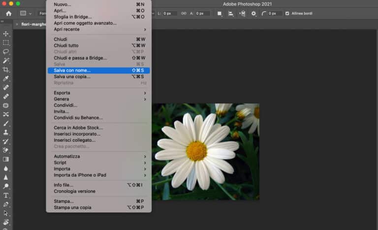 JPG vs JPEG: quale formato immagine è migliore? | Creativemotions