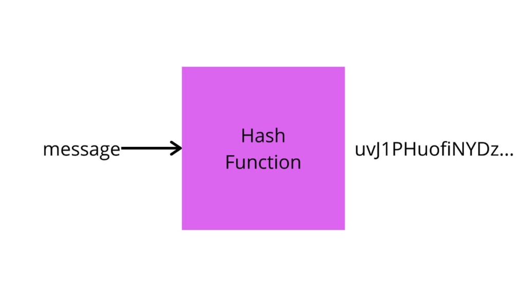 SSH: cos'è e come funziona Secure Shell | Creativemotions